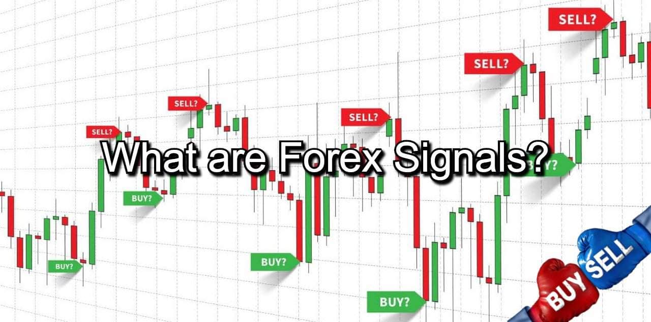 What are Forex Signals, and how do they actually work? - Wealthy Nickel