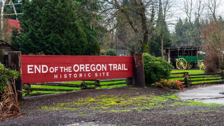 13 Biggest Misconceptions About The Oregon Trail We Learned as Kids ...